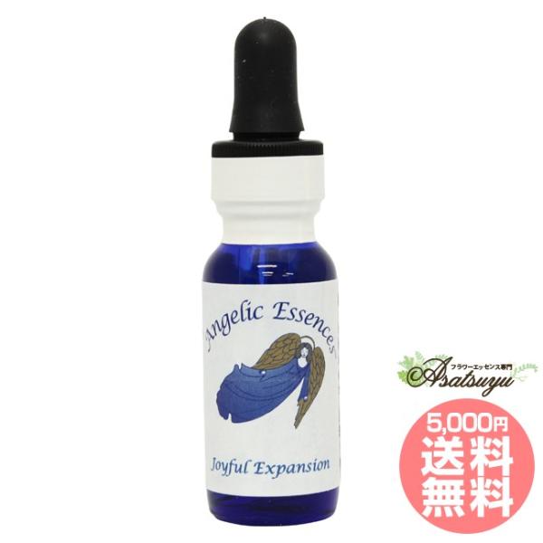 『喜びに満ちた拡大、ハートを開き喜びと至福感で満たす』■英文For opening the heart and filling it with joy and unbounded happiness. It is included in t...