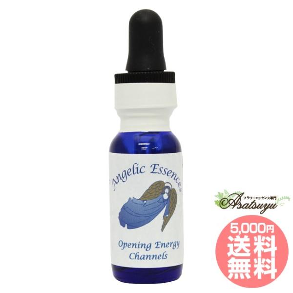 『全てのレベルのエネルギーのチャンネルを開く』■英文This essence clears energy blockages and opens all energy channels in all bodies， for the clea...