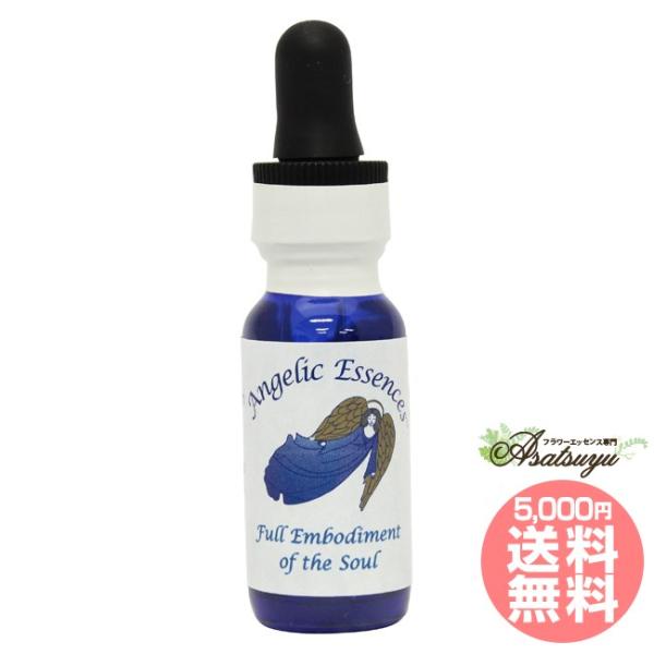 『魂を肉体に完全に引き込む』■英文This essence pulls the soul fully into the body， creating the feeling of being more present， therefore ...