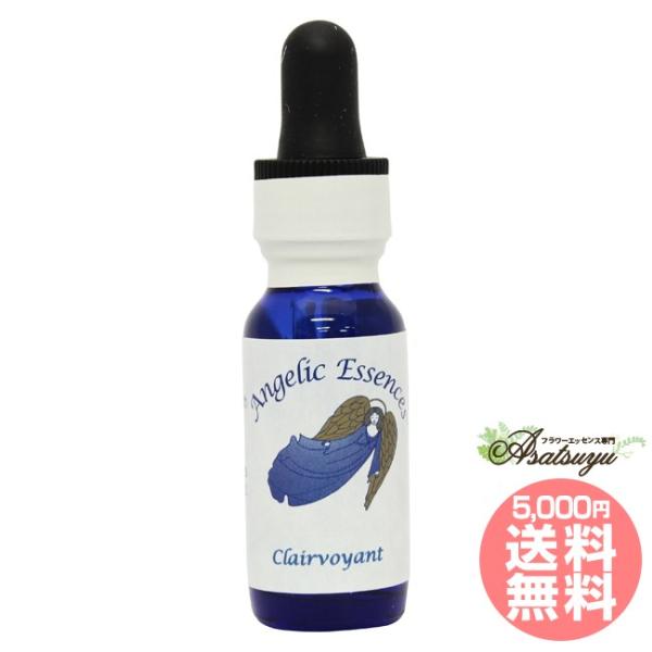 『天使と精霊を見る能力の発達』■英文This essence supports the development of psychic vision. Use as support for developing the ability to ...