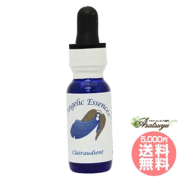 『天使と精霊を聴く能力の発達』■英文To develop the ability to hear Angels and Spirit. Clairaudience is perception of messages in thought f...