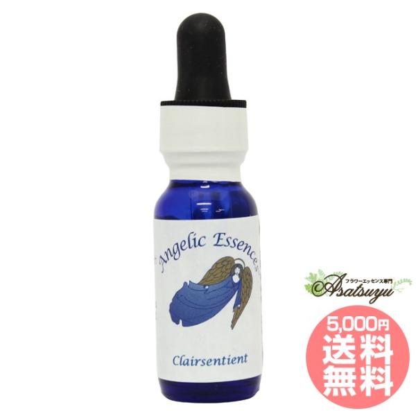 『天使と精霊を感じる能力の発達』■英文To develop the ability to feel Angels and Spirit and experience other realities or entites through th...