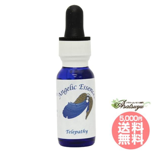 『思考を通じてコミュニケートする能力の発達』■英文To develop the ability to communicate between minds， or mind-to-mind communication. Such commun...