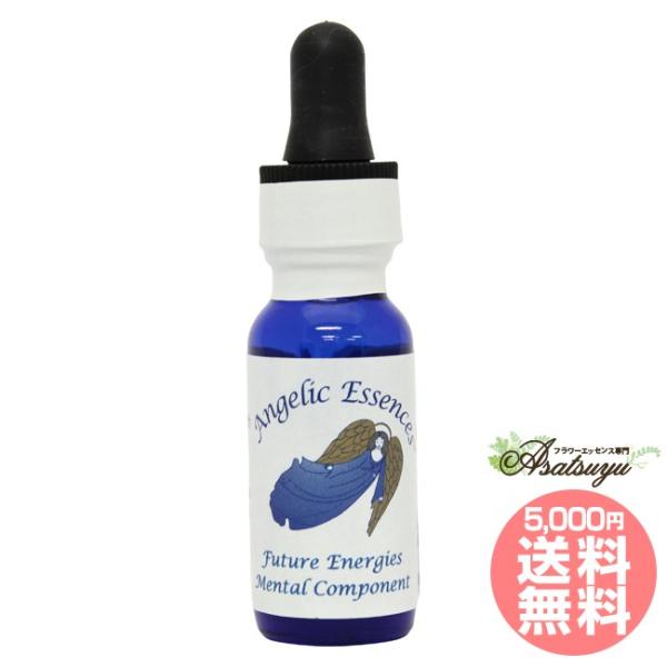 『精神面のバランスのサポート』■英文This is an important essence in working with the new and future energies. The Mental component essence...