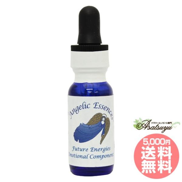 『感情面のサポート、感情体の浄化』■英文This is an important essence in working with the new and future energies. The Emotional component es...