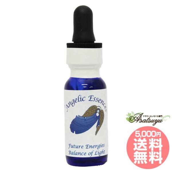 『光のバランス、神の光の浸透』■英文This essence supports the grounding and transmutation of the new energies being brought to the planet....