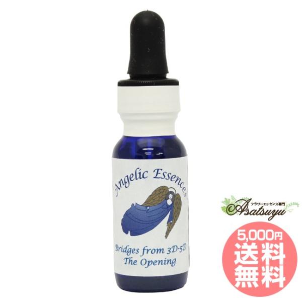 『進化に必要な変化をとげるため肉体をシフト』■英文This essence assists us with shifts in the physical body as we go though the evolutionary chang...