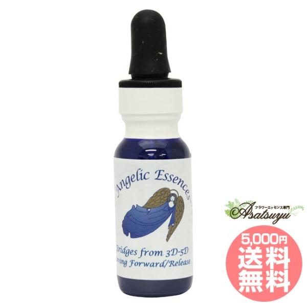 『前進、解放、3次元に残っている執着の解放、カルマをクリアに』■英文This essence supports us to move forward and easily release remaining attachments that...