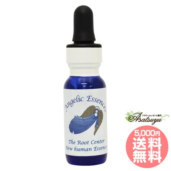 『ニューヒューマン(新人類)のエネルギー』■英文This essence carries the integration of Heaven and Earth within the physical Root Center. It emb...