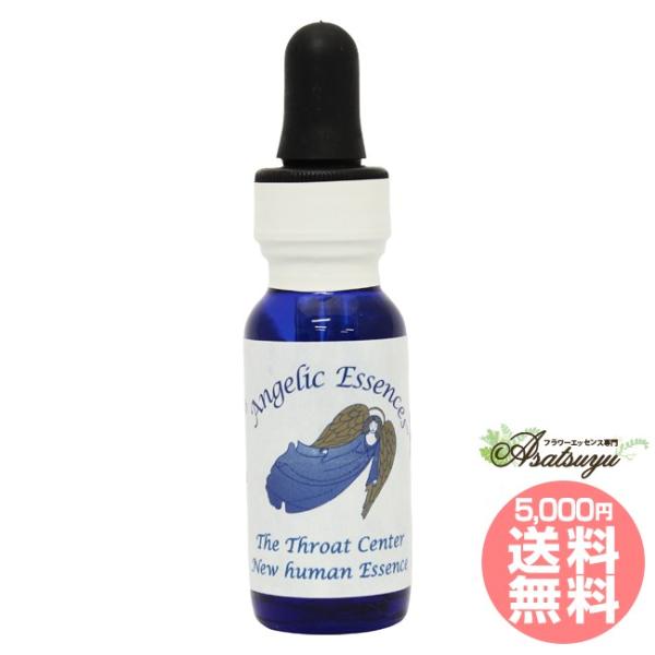 『ニューヒューマン(新人類)のエネルギー』■英文This essence carries the integration of Heaven and Earth within the physical Throat Center. It e...