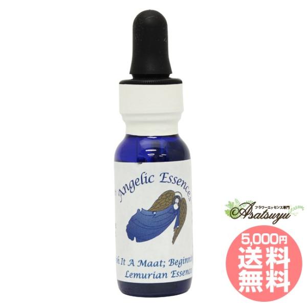 『全ての創造物の中心にあるはじまり、全ての可能性とその結果の潜在的可能性』■英文This essence holds all potentials. At the core of all creation is the beginning....