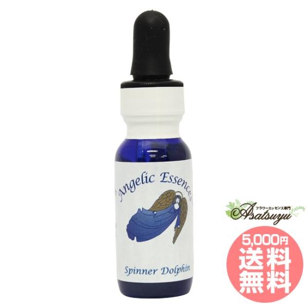 『全ての瞬間に祝福、喜び、遊び心をもたらす』■英文This essence is for the following: ~Joyful celebration of each moment.~ We leap， we play， we br...