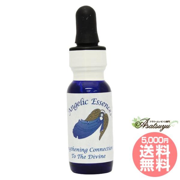 『個人と神性とのつながりの強化』私たちの個人の神性とのつながりを強化してくれます。自らの神性が強くなると、私たちの波動があがり、意識レベルが高くなり、健康状態も改善され、人生がもたらす恩寵とより十分につながるようになり、そして自らの神性の祝...