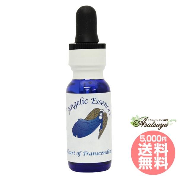 『個人的な愛を超えて、深い宇宙的な愛へと拡大』■英文The Heart transcends personal relationship love， expanding to deep， universal love. This essen...