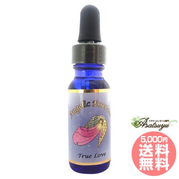 『自分の内側での真実の愛への目覚めを促す』■英文To awaken the experience of True Love within the self， in order to recognize and nurture it in a...