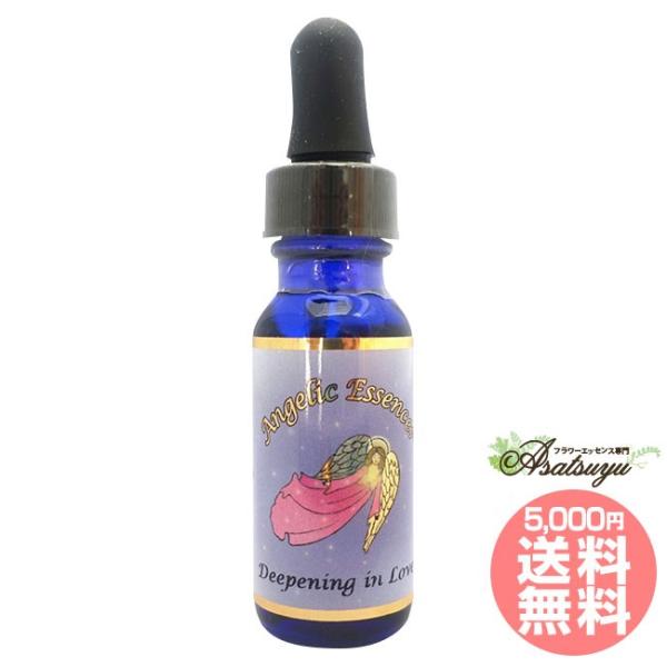 『私たちの中に内在する愛、経験する愛、他人と分かち合う愛を深める』■英文Love knows no bounds. It's depth and potential are beyond what we can comprehend. Th...