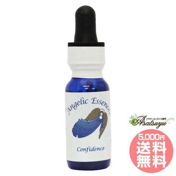 『どのような状況でも自信を持つ』■英文We all need and want confidence in ourselves， our work， our talents and in our ability to love and be...