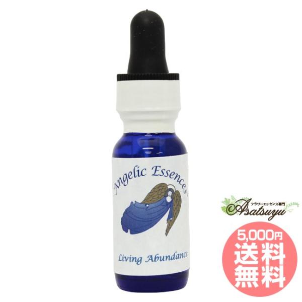 『豊かさのエネルギーが十分、かつ容易に流れることを実現』■英文When we want abundance in our lives it us usually because we are experiencing or feeling ...