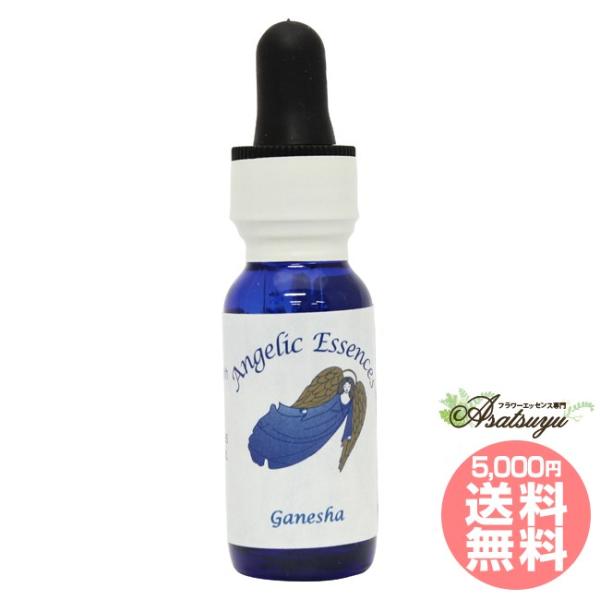 『豊かさや繁栄を受け取ることの障害を取り除く』■英文Ganesha is a Hindu God who's job is the removing of obstacles.  This can be obstacles to abund...