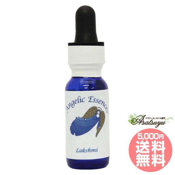 『豊かさの女神、愛と神の恩寵を高める』■英文Lakshmi - is the Hindu Goddess of Abundance and Prosperity.  People pray to her for all kinds of b...