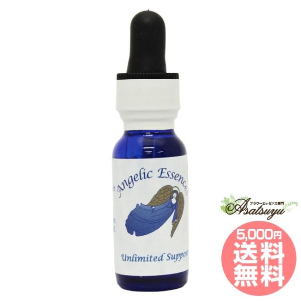 『望んでいることを受け取り、実現する』■英文This essence brings about the experience of Unlimited Support in your life.  We need support to re...