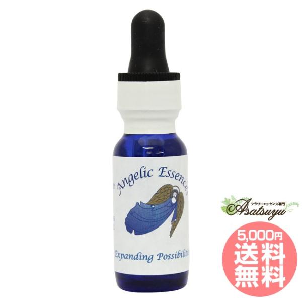 『様々な可能性を広げるために』■英文Use this essence for joyfully exploring possible options， pathways and possibilities beyond prior know...