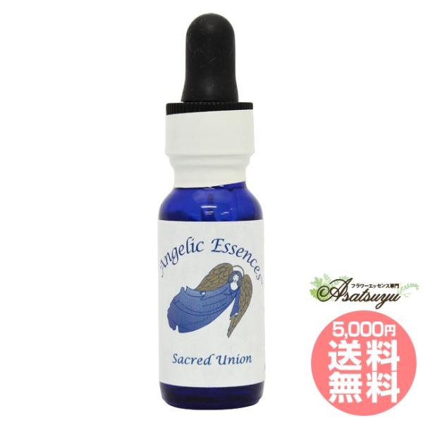 『キリストとマグダラのマリアやクリシュナとラダーたちなどの聖なる連合のメンバーのエネルギー』■英文This essence carries the energies of the Sacred Union shared between Ch...