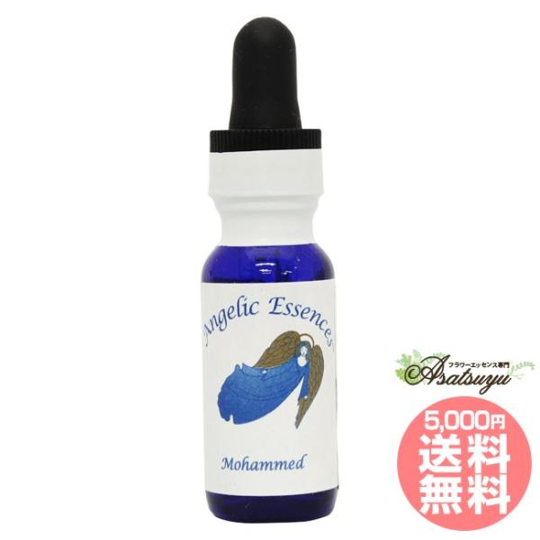 『モハメッドとしてのアセンデッドマスターの意識、教え』■英文Mohammed's Message is one of the Ascended Master essences. These essences support experien...