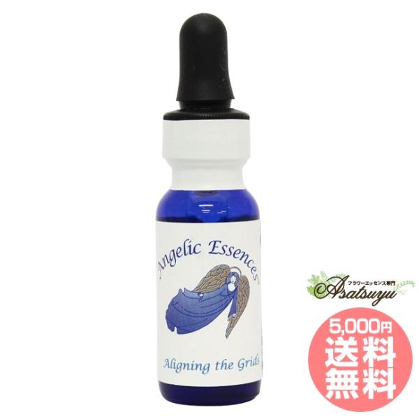 『個人、地球、宇宙のグリッドの配列を整える』グリッドの調整。すべての物や人は、エネルギーと磁気でできたグリッド(縦横の格子)に囲まれています。このグリッドは私たちの健康と調和を保つためにあります。すべてのグリッド機能は互いに関連しあい、全体...