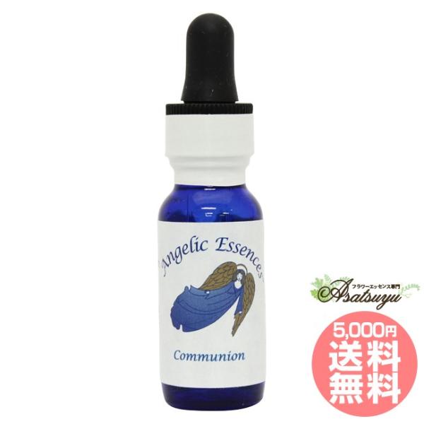 『聖なる仲間、ひとつになる』■英文This essence increases communication and connection with your Higher self， your Spiritual guides， Spiri...