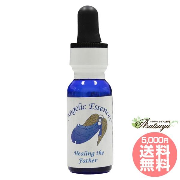 『豊かさや物質的な繁栄の鍵である父性の癒し』■英文This essence is to support internally healing our relationship with our fathers， be they our ph...