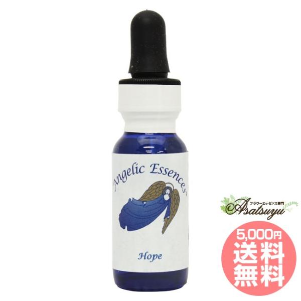 『深い変容と変化の際中に希望を見出していられる』■英文Never ending hope in the midst of deep transformation and change.■日本的解釈希望。深い変容と変化の最中に希望を見出してい...