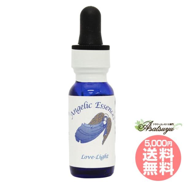 『高次の愛を経験するための大きな気づきとサポート』■英文This essence opens the crown and heart to receive higher vibrational frequencies of love， ge...