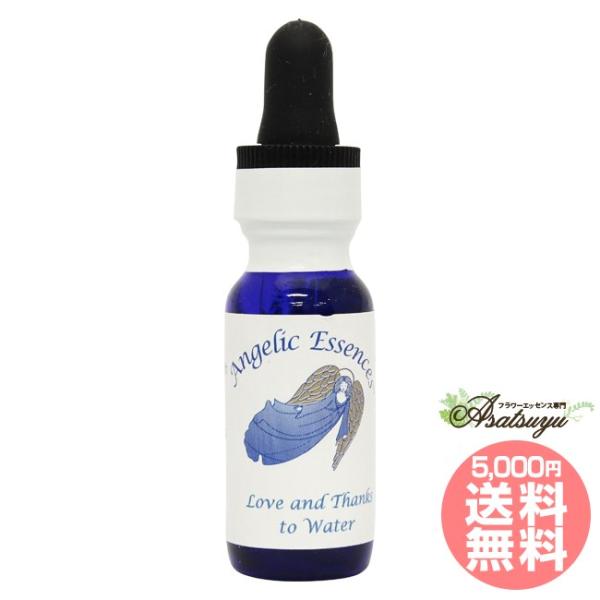 『水への愛と感謝のエッセンス』■英文This essence carries in it all of the prayers of Love and Thanks to Water from the ceremony at the Sea...