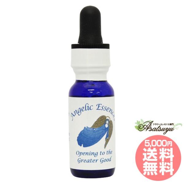 『高い観点を持つ、洞察力と認識力を高める』■英文This essence increases understanding of situations and events and their relationship to the grea...