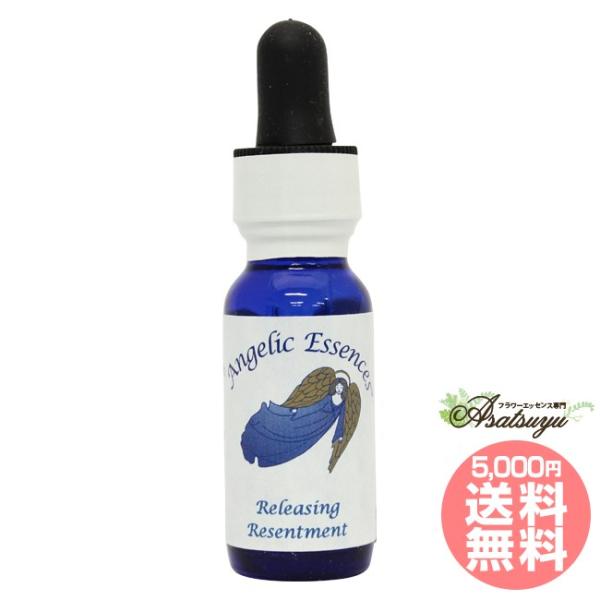 『抱えている過去や現在の怒りの解放』■英文Releases old and current resentments we have been carrying. Releases them whether we are conscious ...