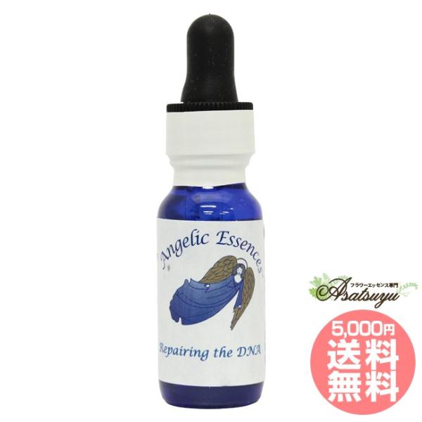 『心身の健康を得るためのサポート』■英文This essence supports the repairing and healing of the DNA. Our DNA can undergo changes through our ...