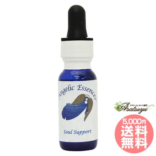 『魂のさまざまな側面の間の調和と統合とバランスをとる』■英文This essence supports the deep healing of past life trauma. It creates harmony， integratio...