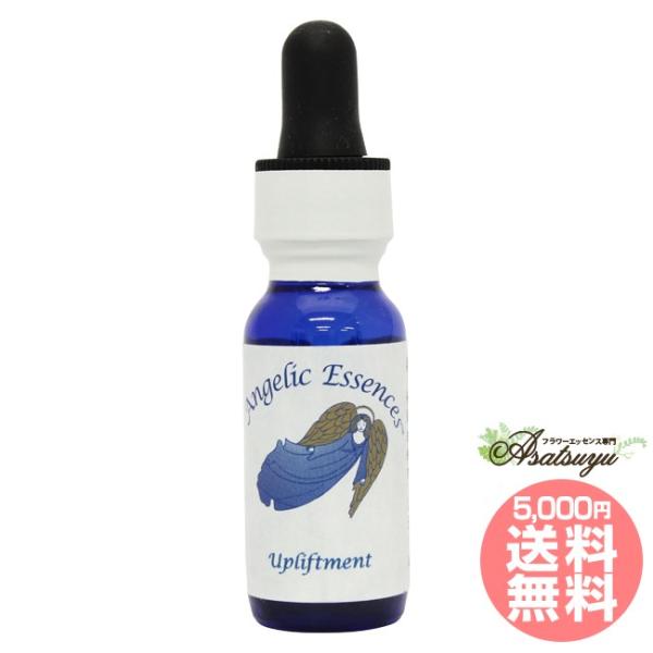 『鬱や落ち込んだ時に』■英文This essence helps with depression or when we are feeling low.  It brings energy to uplift us， which inspi...