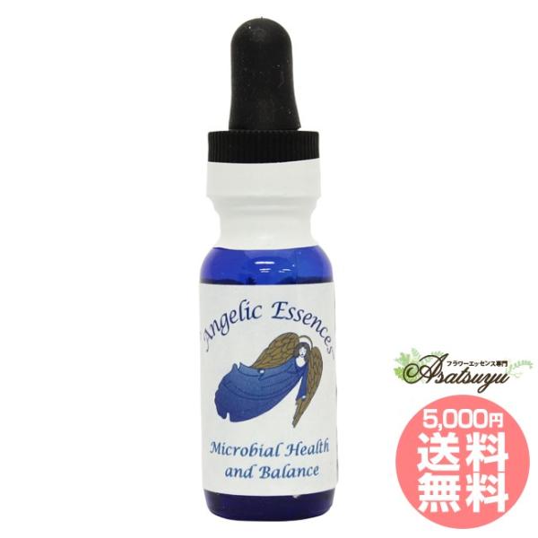 『細菌に関わる健康とバランス』■英文This essence is for supporting and balancing the microbes in our body， which are essential to our heal...