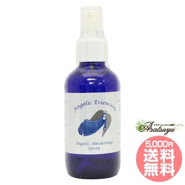 『大いなる楽しみ、平和、愛のある今を生きる』■英文Awakening Spray supports the Awakening of consciousness.Use for creating greater perspective， e...