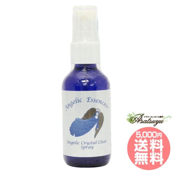 『オーラや環境のエネルギーを浄化』■英文Use Crystal Clear spray for clearing and cleansing energies.  It can be used around the body to clea...