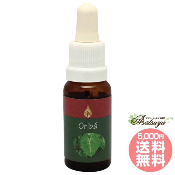 『才能、適性』バランスの良い呼吸、密教的な性のエネルギーについてわかるように。もろさに。潜在的創造力を利用する。天職を見つける。自分のアイデンティティの本質に働きかける。■状態自分の自己治癒力を否定する。人生の方向性のなさ。自分のことがわか...