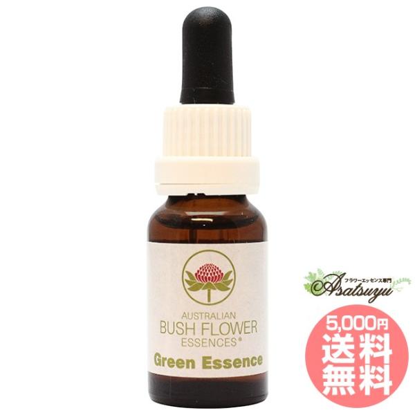 『緑の葉と茎作られたエッセンス』体内にいる酵母菌などの菌、寄生虫の波動を貴方の体と同調させてくれます。飲用でもありますが、皮膚の局所に使用することもできます。花でなく緑のハーブの茎と葉から作られるエッセンスです。食事の５分前に１日３回　５滴...