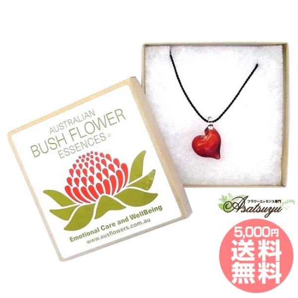 『情熱がテーマ！情熱と関心の回復』情熱がテーマです！あらゆる人間関係・・個人、ビジネス、家族間などに対する情熱と関心を回復させます。バラバラになった人たちを結びつける力があります。また、恋愛面において最初の頃のときめきが薄れたときに情熱を取...