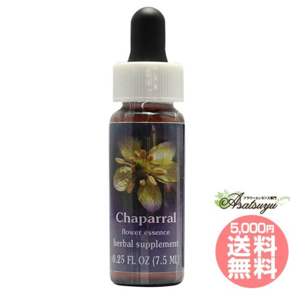 バランスのとれた霊性の目覚めポジティブな性質：バランスの取れた霊性の目覚め。　バランスが乱れた状態：精神及び肉体に毒性を溜め込む傾向。混乱した内面生活。Chaparral商品名：チャパラル FESフラワーエッセンス クイントエッセンス