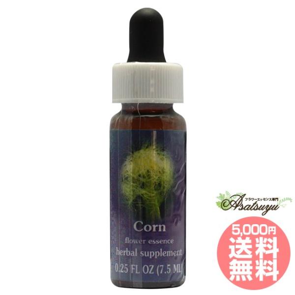 大地にしっかり繋がっているポジティブな性質：特に体と足を通して、大地にしっかりとつながっている。　バランスが乱れた状態：身体の中心に止まることができない。Corn商品名：コーン FESフラワーエッセンス クイントエッセンス