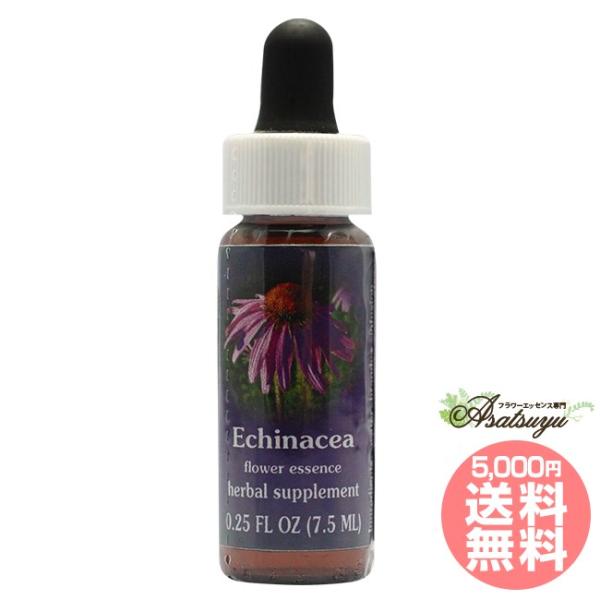 自己の感覚が崩壊し、打ちのめされたと感じるポジティブな性質：自己の魂の中心の統合。　　バランスが乱れた状態：非情なトラウマや虐待などで自己の感覚が崩壊し、打ちのめされたと感じるとき。Echinacea商品名：エケネイシャ FESフラワーエッ...