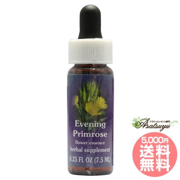 感情をオープンにし深い人間関係を築くポジティブな性質：幼い頃に母親から吸収した苦痛の感情に意識の光をあて、癒すことができる。　バランスが乱れた状態：拒絶され見放されたと感じる。性的、感情的な抑圧。Evening Primrose商品名：イブ...