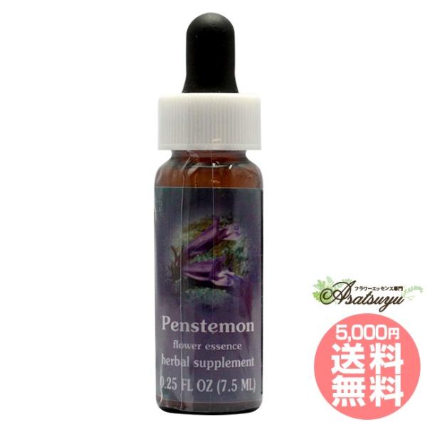 人生に遭遇する困難な状況に耐えることができないポジティブな性質：困難に遭遇していても内面に偉大な不屈の精神を抱いている。　バランスが乱れた状態：人生で遭遇する困難な状況に耐えることができない。Penstemon商品名：ペンステモン FESフ...